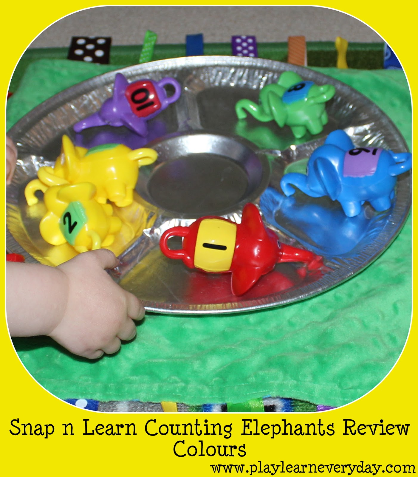 Elephant Color Sorting Fandom