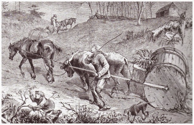 Mary Andersen: Colonial Farming Techniques