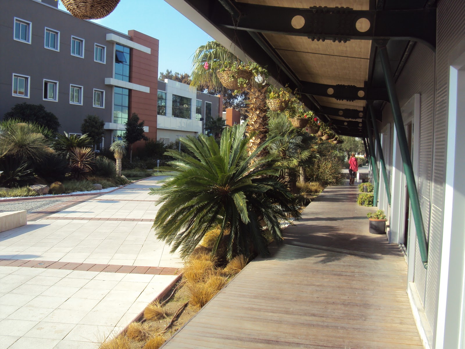 *Dustin's Life and Such*: Yasar University - Izmir, Turkey