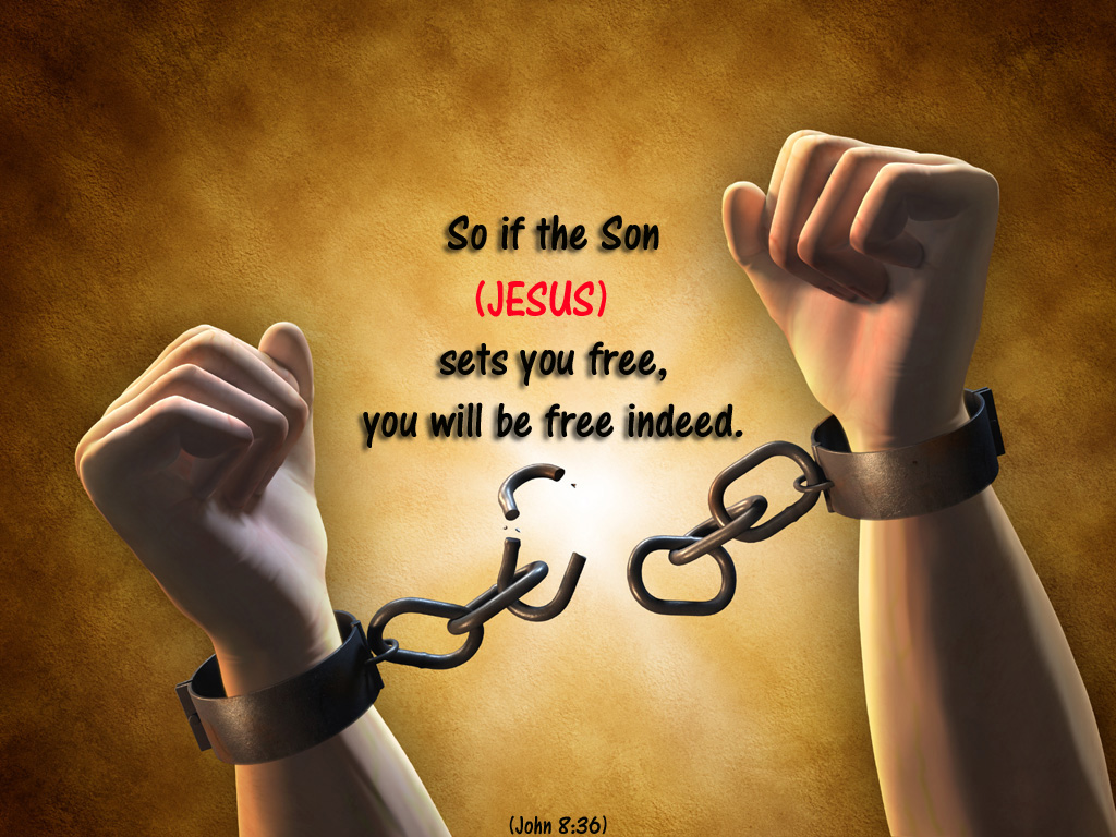 john 8-36. | Set you free, John 8, Free indeed