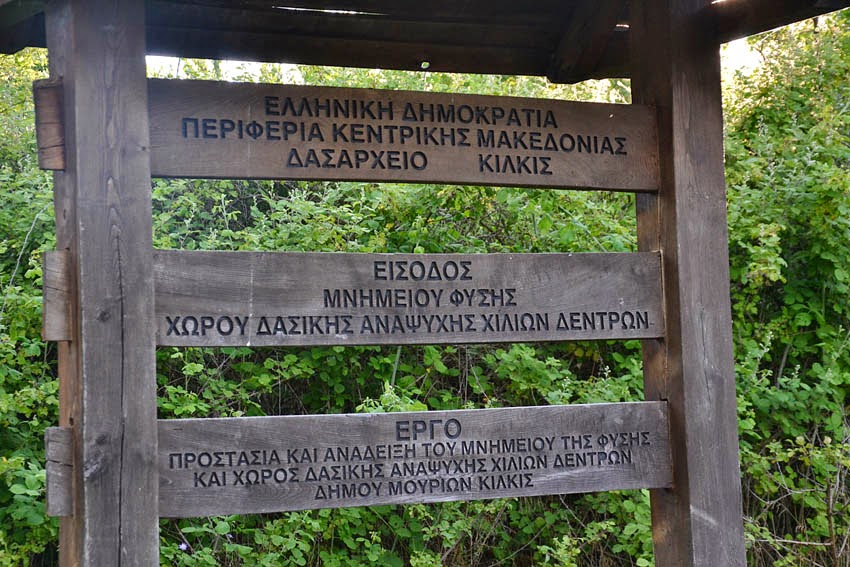 ΓΝΩΜΗ ΚΙΛΚΙΣ ΠΑΙΟΝΙΑΣ: Νέε Δήμαρχε και Αντιπεριφερειάρχη Κιλκίς, πάμε ...