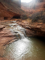 Everything For The Outdoors: Backpacking in Coyote Gulch