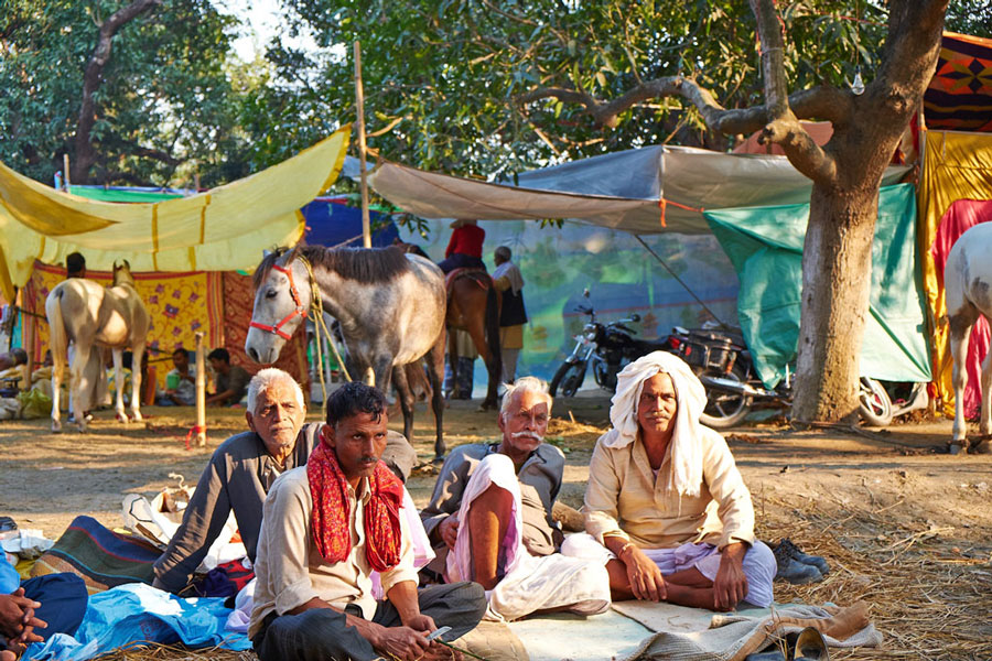 SONEPUR MELA; The largest animal Fair of ASIA: Sonepur Mela through the ...