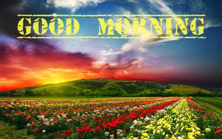 Good morning High Quality Photo's Image Gallery | Festival Chaska