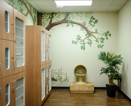 Panduan boarding kucing - KEKUCING