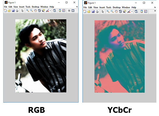 Ruang Warna YCbCr | Muryan Awaludin