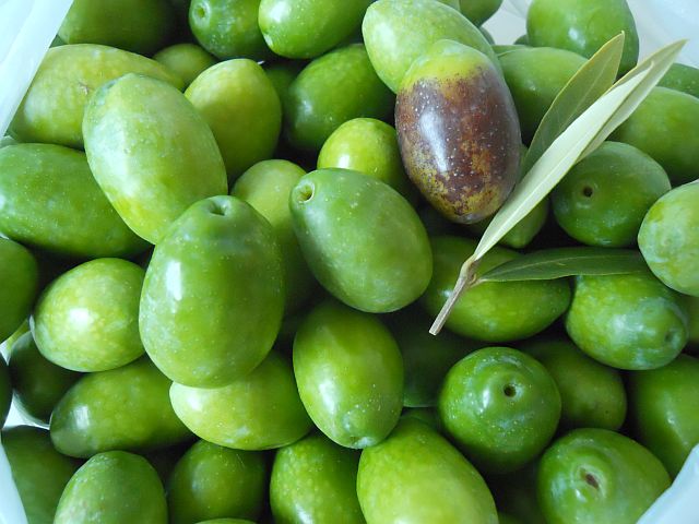 Geschmacksache: Frische Oliven selbst eingelegt!