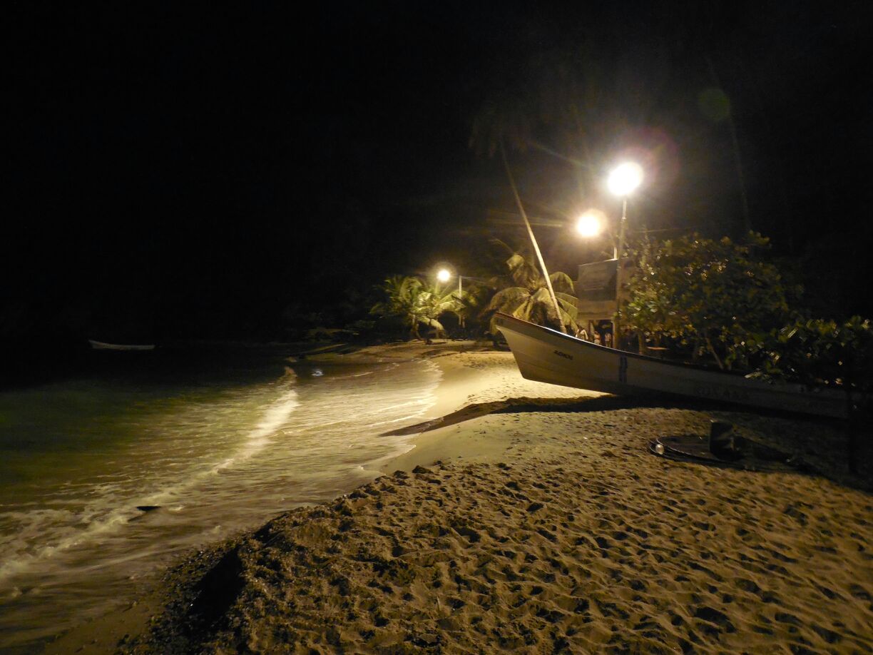 Andando por Venezuela: Choroní (Playa Grande) - Tuja