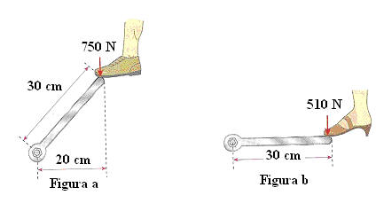 Portfólio de Biomecânica: TORQUE OU MOMENTO DE FORÇA