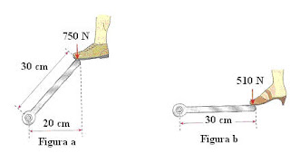Portfólio de Biomecânica: TORQUE OU MOMENTO DE FORÇA