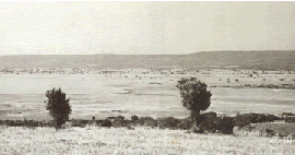 Two Small Ships from WWI: 5. The Collapse of the August Offensive - M30 ...