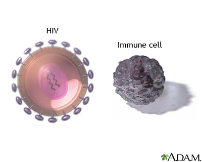 HIV Lessons: What the CD4 T-Cell Count Means