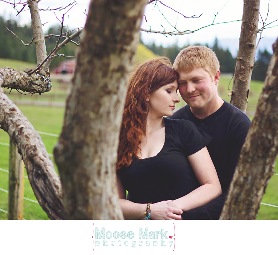 Moose Mark Photography