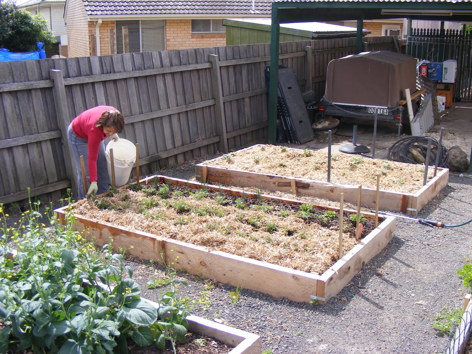 Backyard Self-Sufficiency: 5. Building the Raised Growing Beds