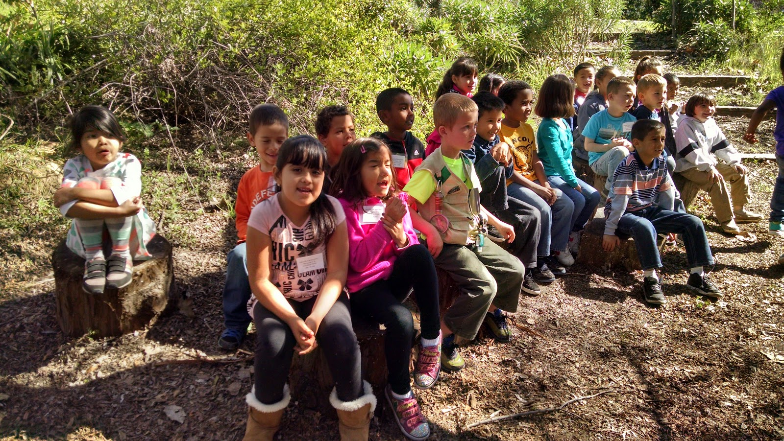 Luma Solem: First Grade Field Trip Frenzy!