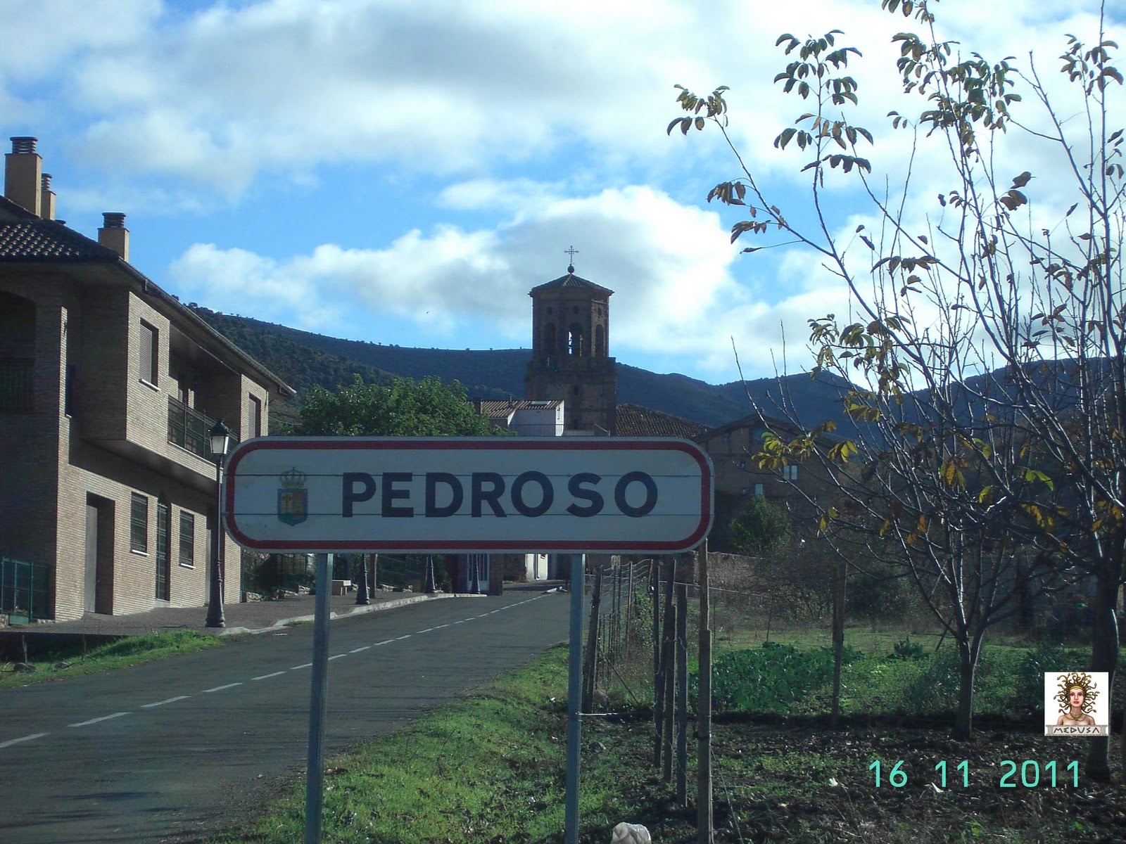 PEDROSO | La medusa Paca