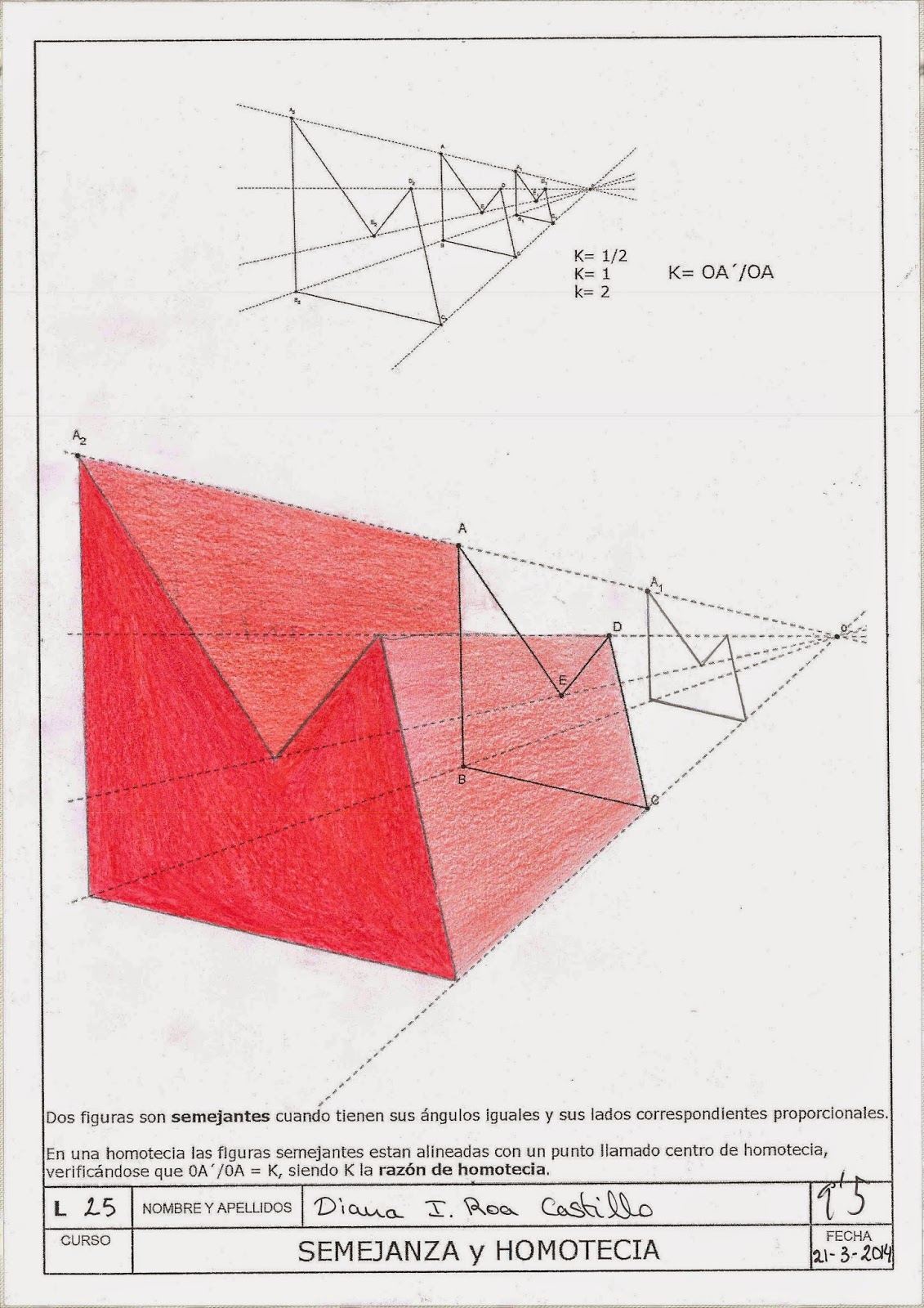 TRANSFORMACIONES GEOMÉTRICAS: HOMOTECIA | .imagenesola imagen y la ...