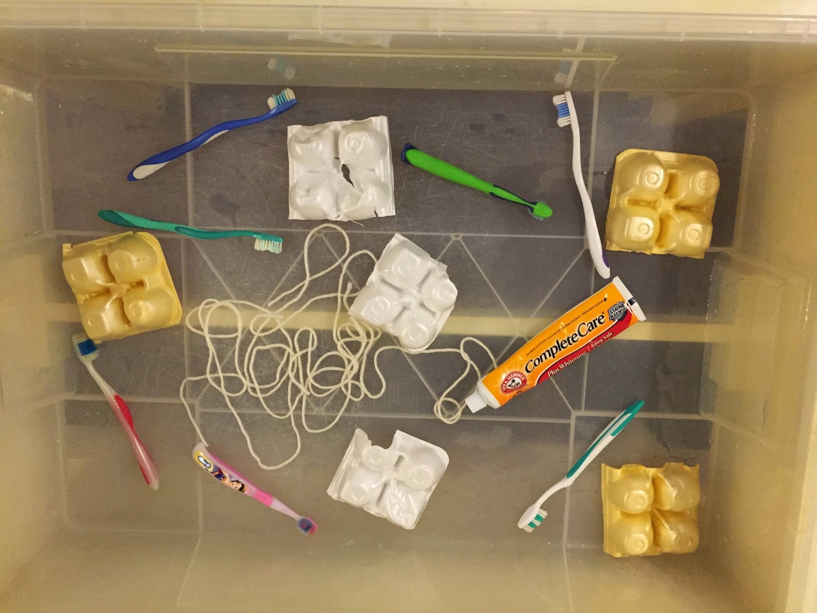 Morning Light Preschool: T is for Teeth