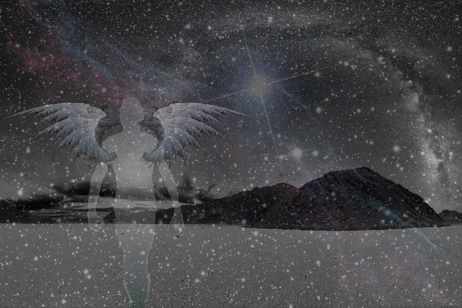 Adventures of an Arctic Giraffe