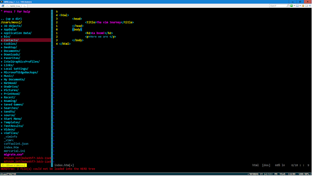 Setting up Vim Plugins on Windows