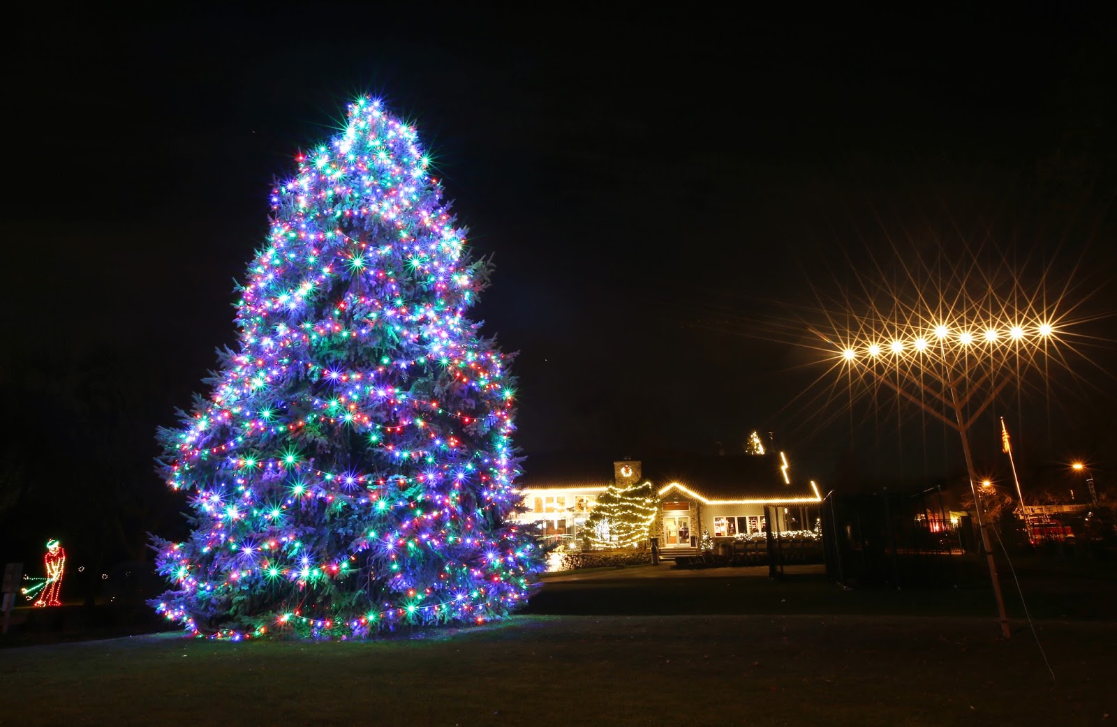 Mark Kodiak Ukena: Vernon Hills' Holiday Tree and Menorah Lighting Ceremony