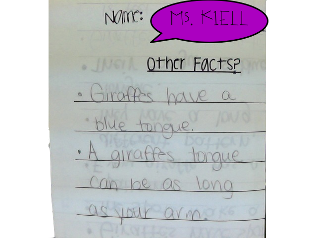 Ms.M's Blog: Writing on Wednesday: Animal Research Reports