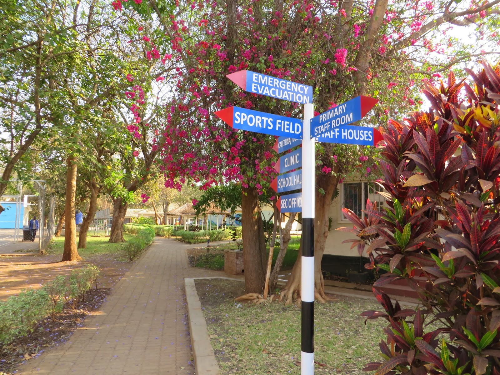 A Year in Malawi: Bishop Mackenzie International School