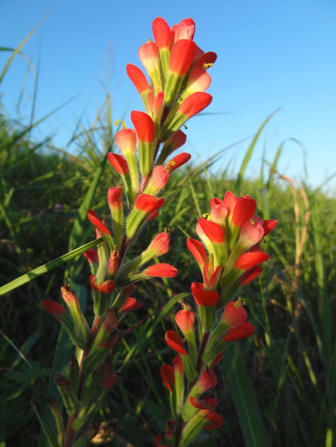 H-Town-West Photo Blog: Dam wildlife is awesome - Photo safari on ...