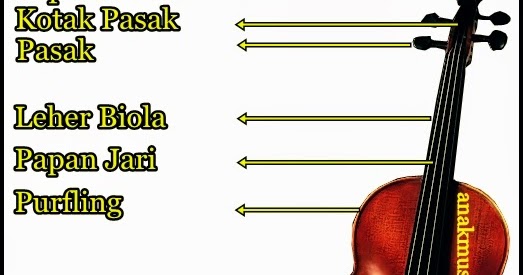 MISTER.BAND: Mengenal 12 Bagian Tubuh Biola