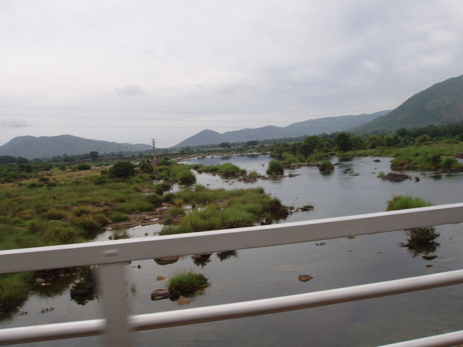 Asha's musings & ramblings: An electrifying affair with nature - Shimsha