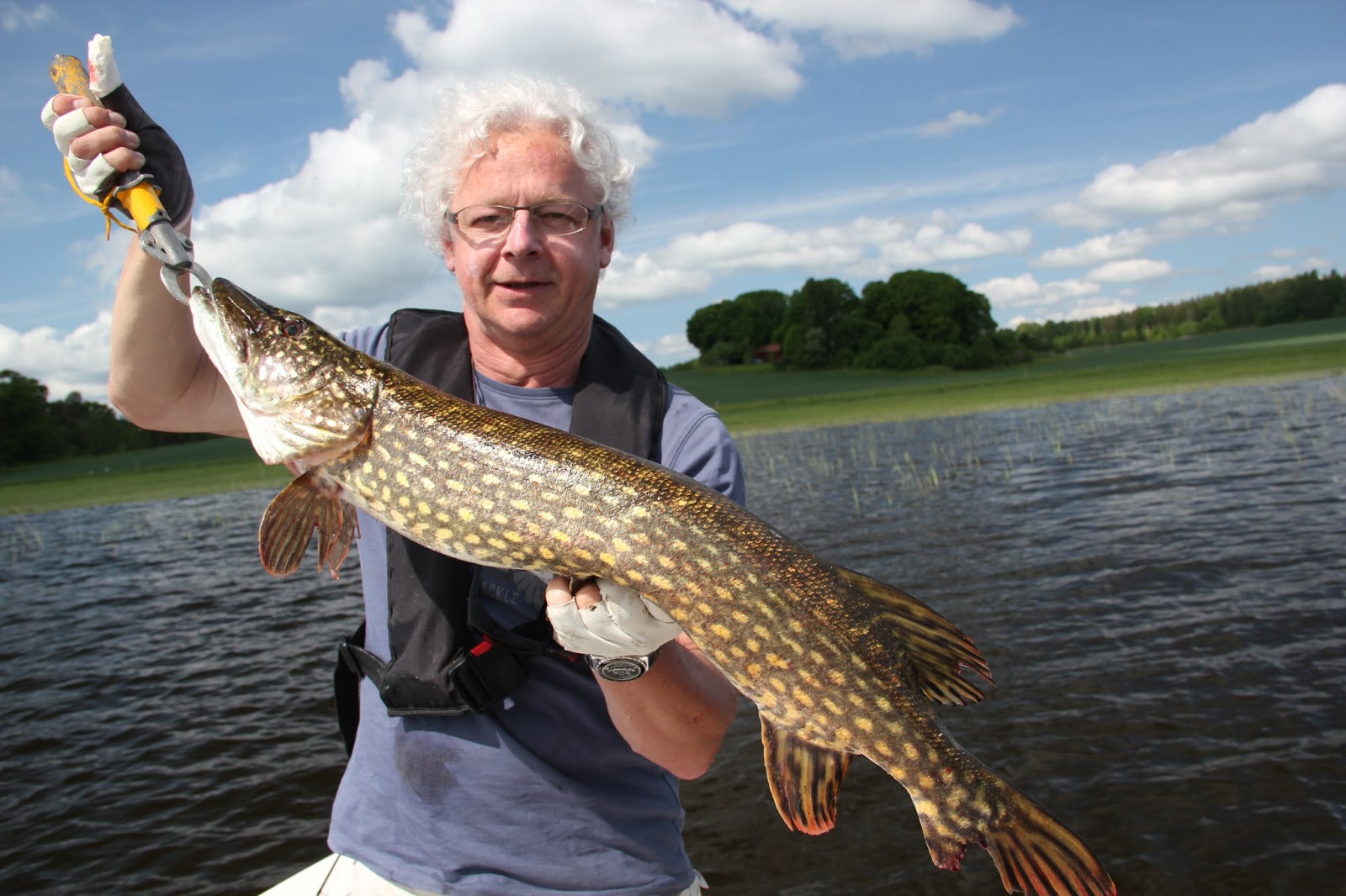 sweden predator fishing
