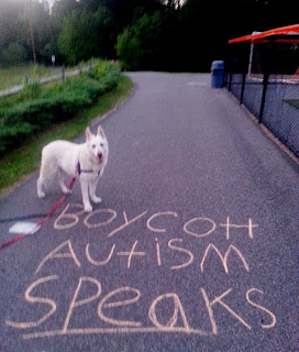 AAC Apps, Service Dogs, and Autistic life things: Crusading against ...