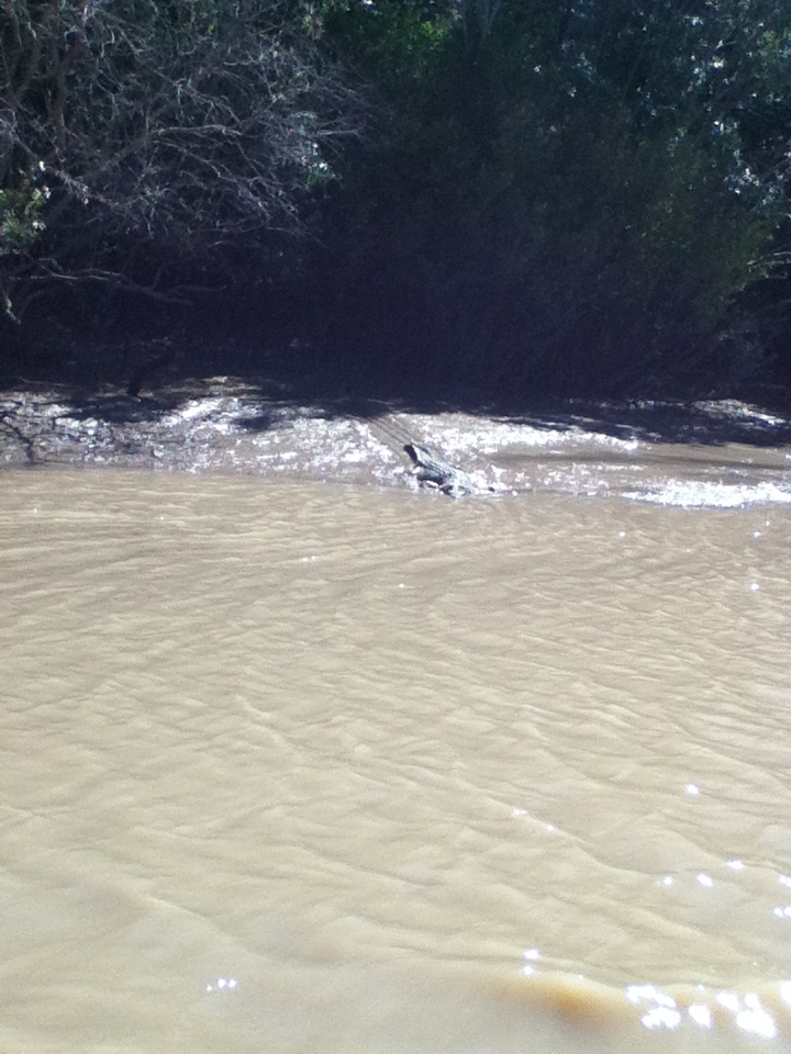 Scheffer Family's Great Aussie Adventure - 2013: 4 June 2013 – Humpty ...