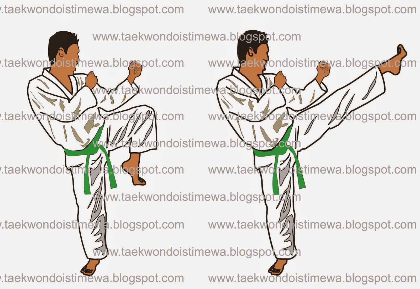 taekwondoistimewa: August 2014