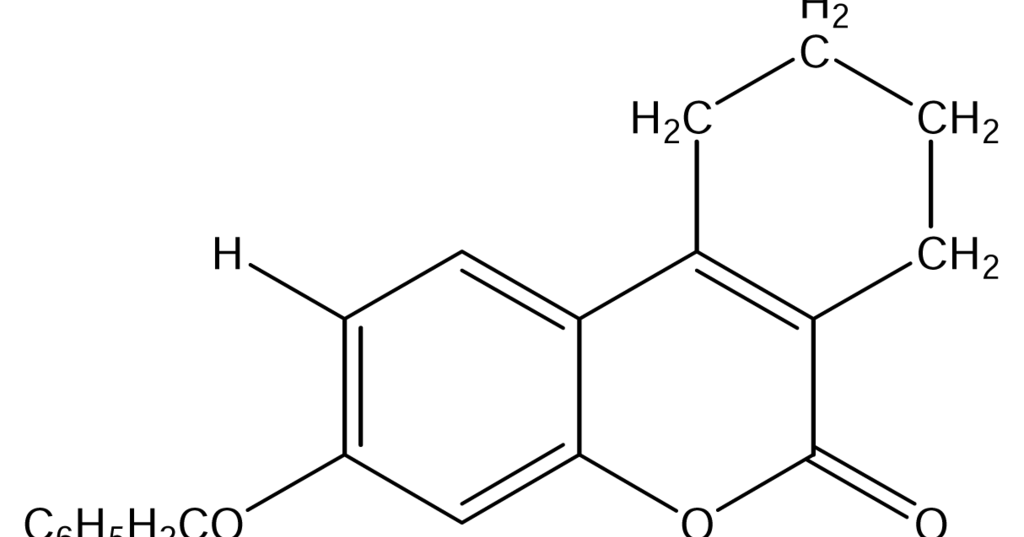 Exploring within the consciousness: What is MAO?
