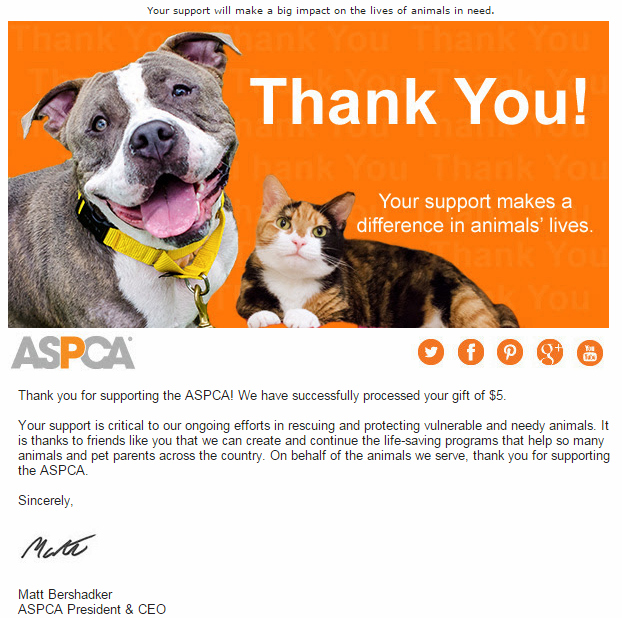 KellieGonzo: ALIQUID Lacquer Adopt A Shelter Dog Charity Polish Swatch ...