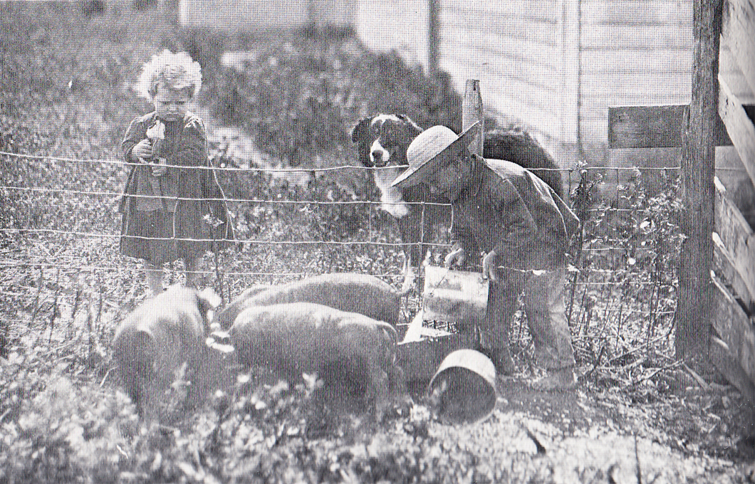BULLER TIME: Farm life in the early 1900s