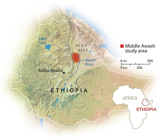 Dirk Drubbel: De weg naar Homo sapiens ( deel 1 : Tijdschaal & Taxonomie)
