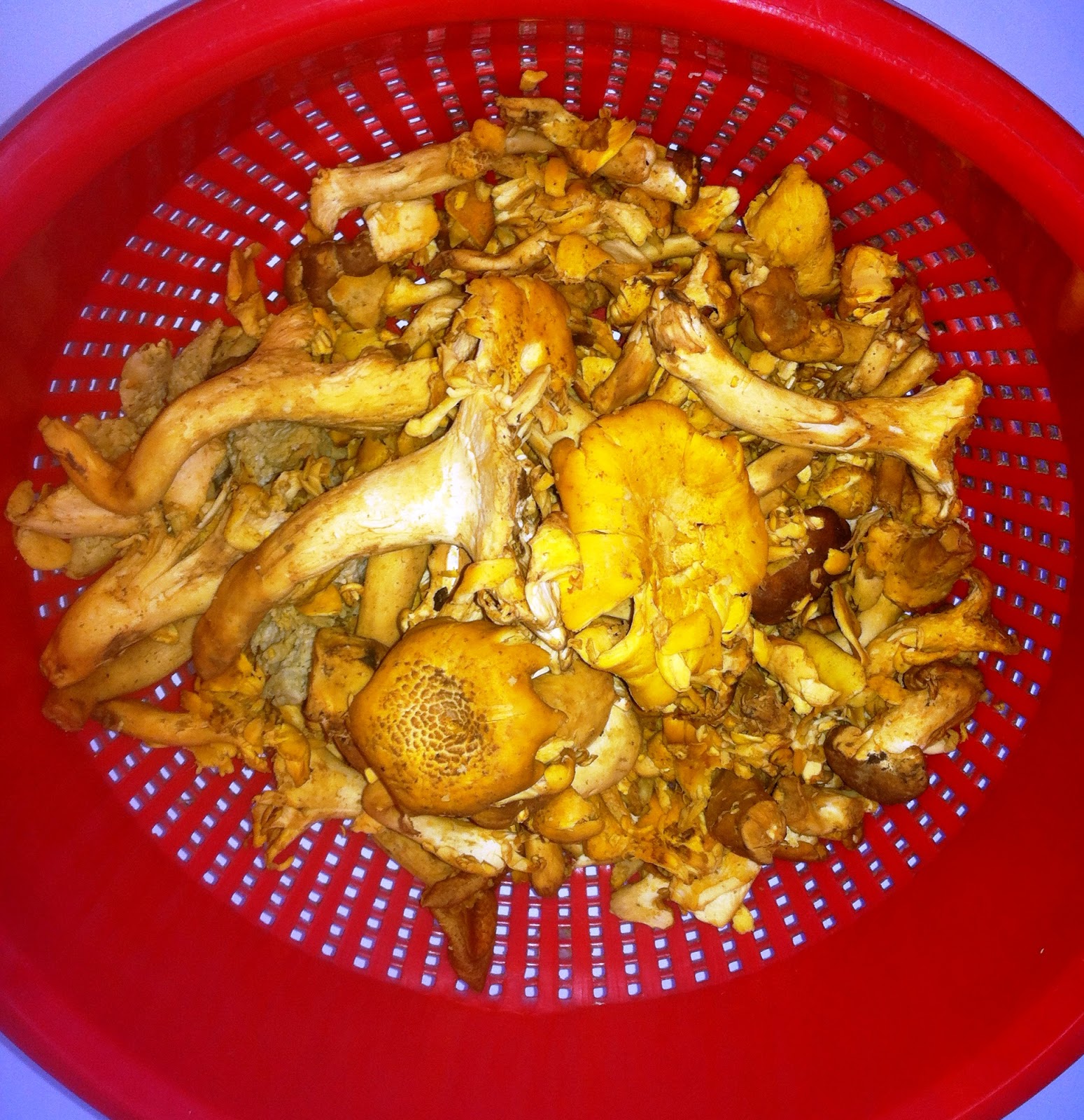 Cocinas y Recetas: Los anacates. Columna Regaliz, Siglo 21