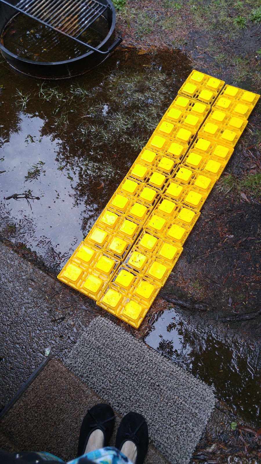 Rolling Along Country Roads: Multi-use!! Our "Lego" walkway!