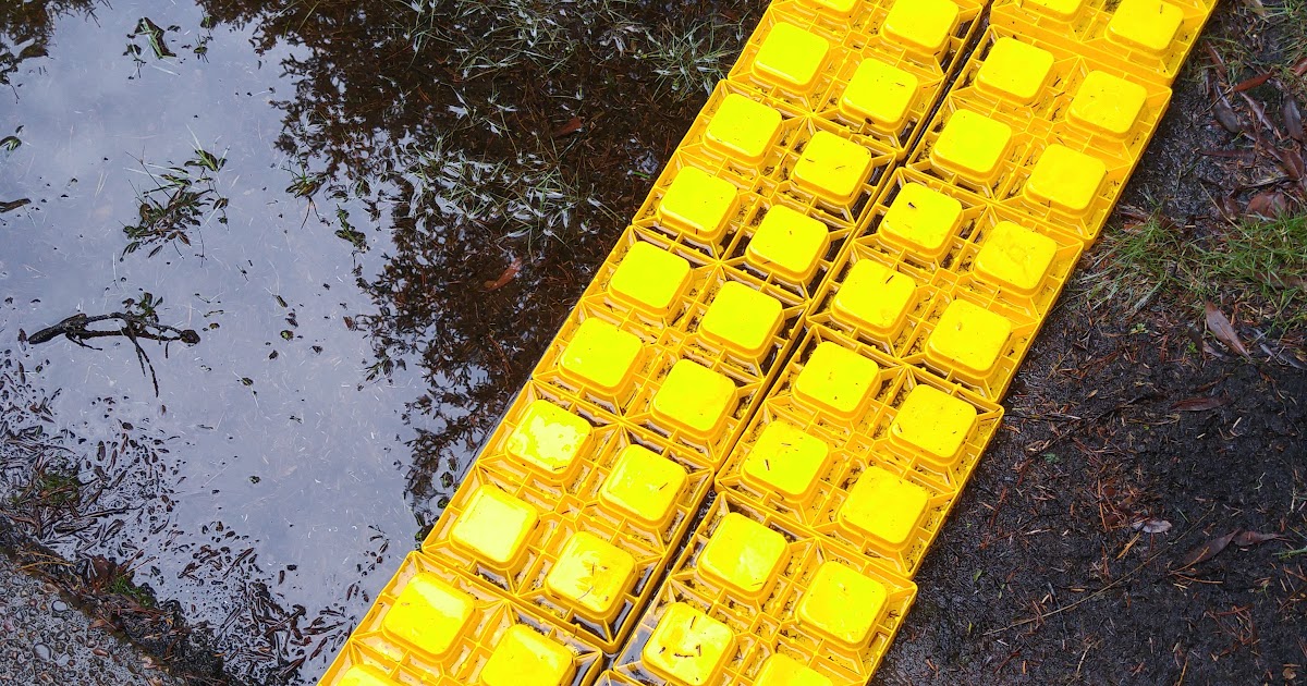 Rolling Along Country Roads: Multi-use!! Our "Lego" walkway!