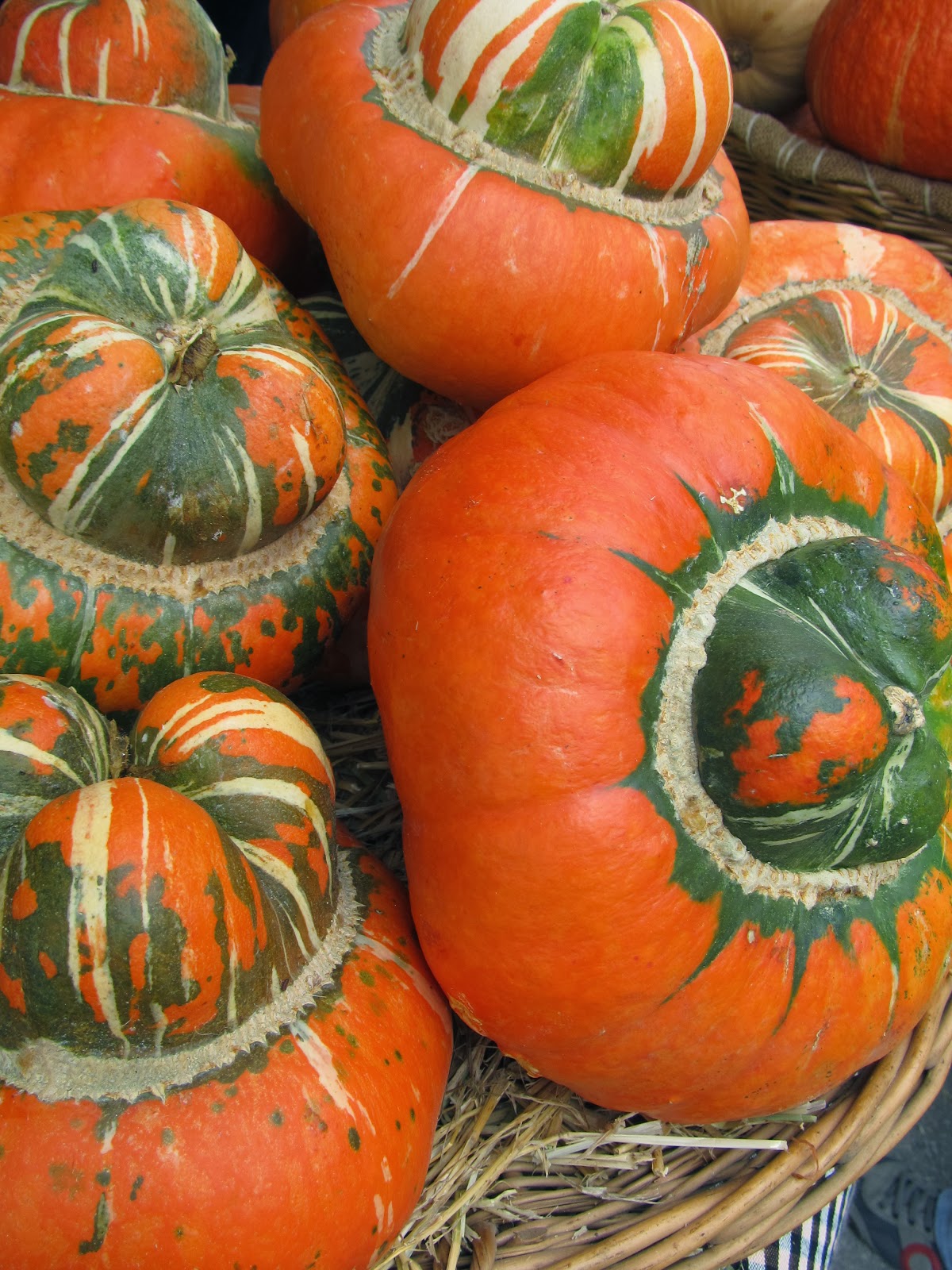 CALABAZAS...