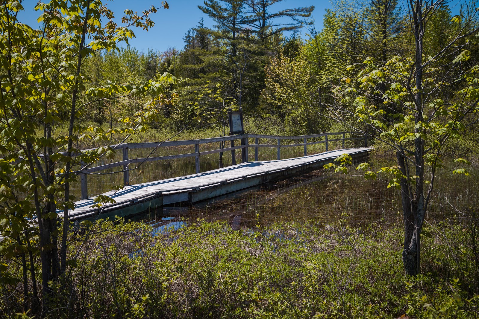 When Is The Best Time to Visit MacGregor Point Provincial Park ...