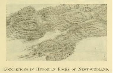 Fossils and Geology of Lanark County, Ontario: Photographs of GSC 221 ...