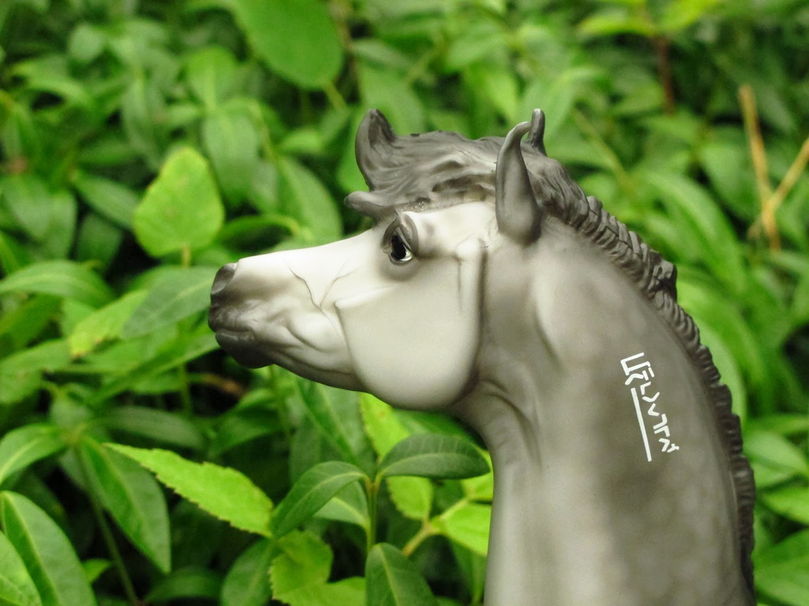 Apple Angels Rancho: Kolekcja