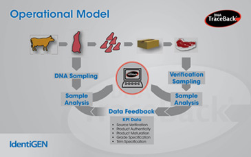 CoreGenomics: February 2013
