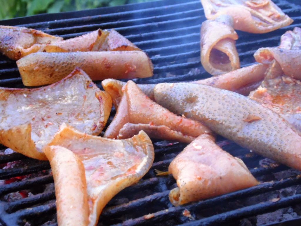 As Receitas do Meu Pitucho: COURATOS