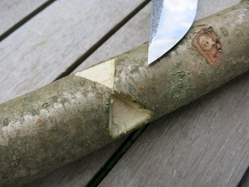 AD Blog - bushcraft per passione: Try Stick: un metodo semplice ed ...