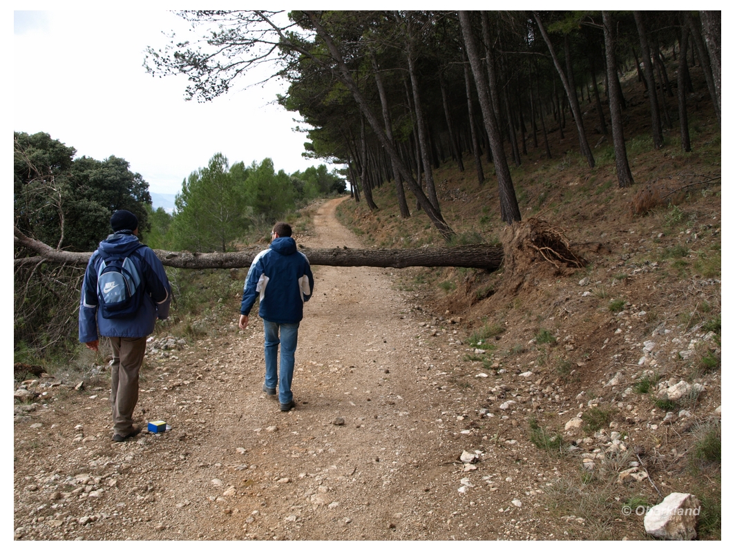 Rutas de senderismo por Andalucía: Sierras Subbéticas Cordobesas ...