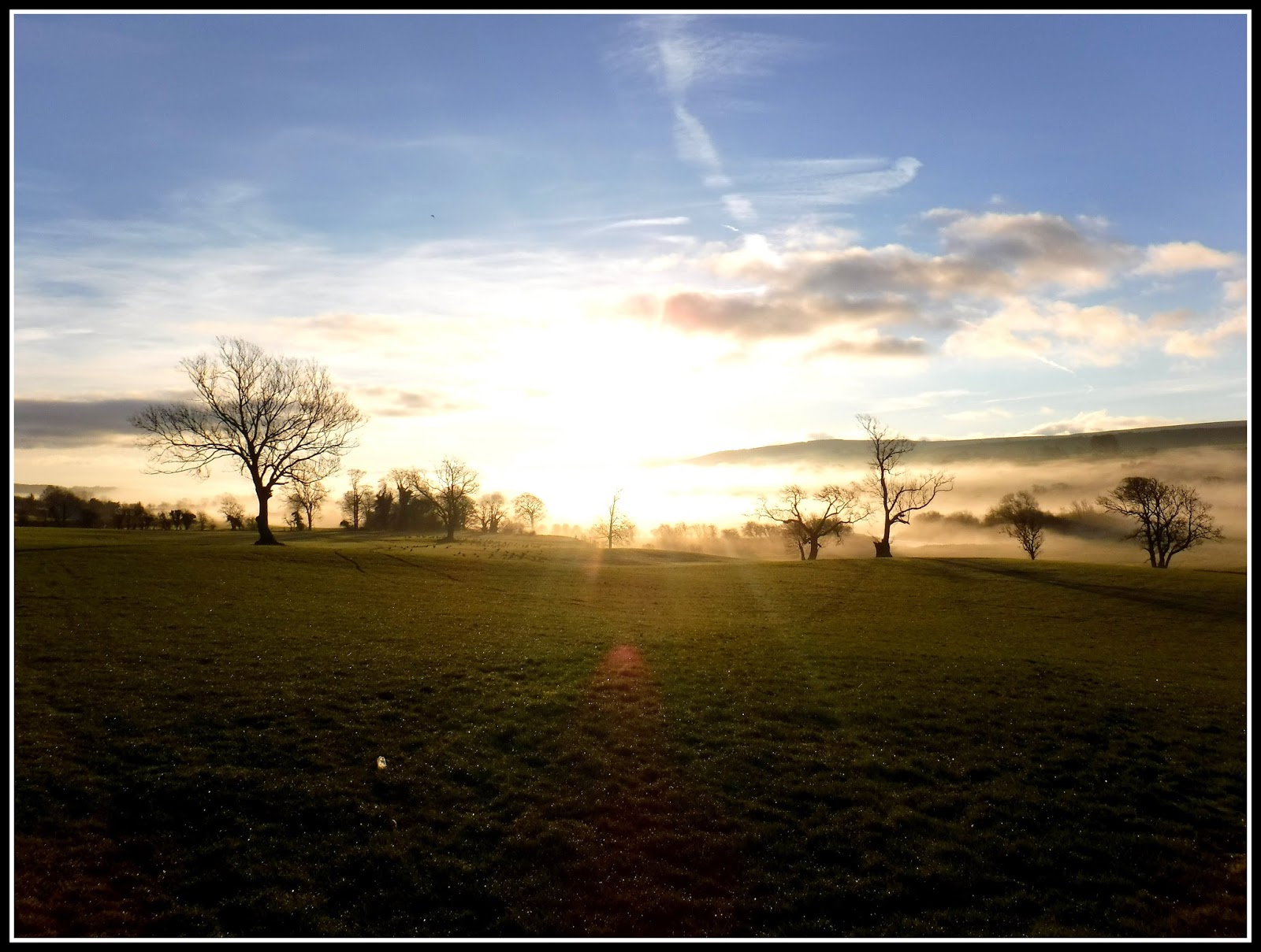 The Flee, Float & Foto: In the Mist